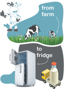 Journey Of Milk – Dairykids
