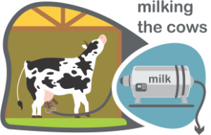 Journey Of Milk – Dairykids