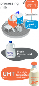 Journey Of Milk – Dairykids